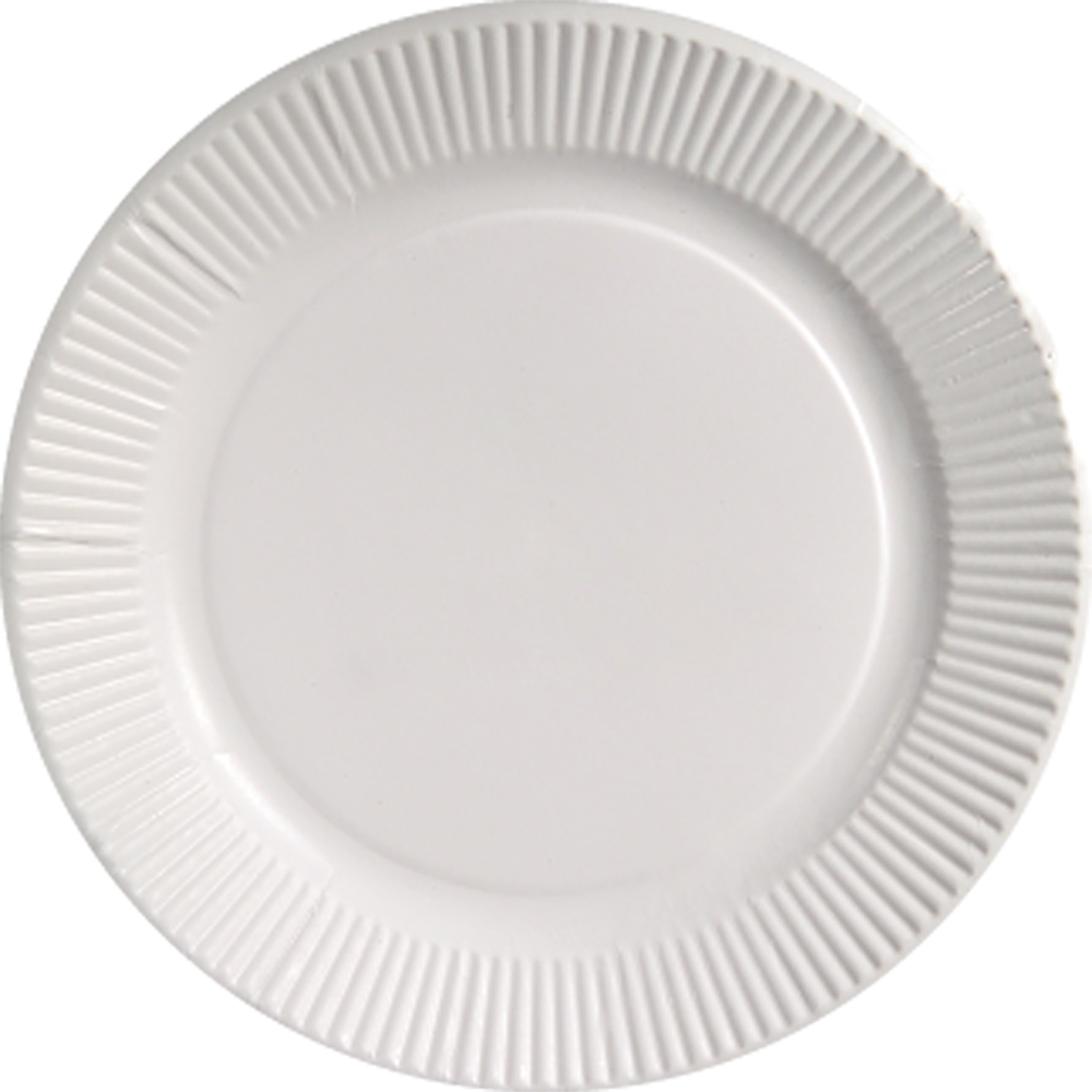 Affordable 9 Inch White Paper Plates |TSPL9S - DiscountMugs